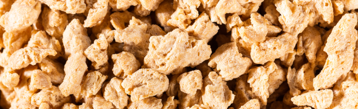 Vegetable protein extrusion: design your production lines