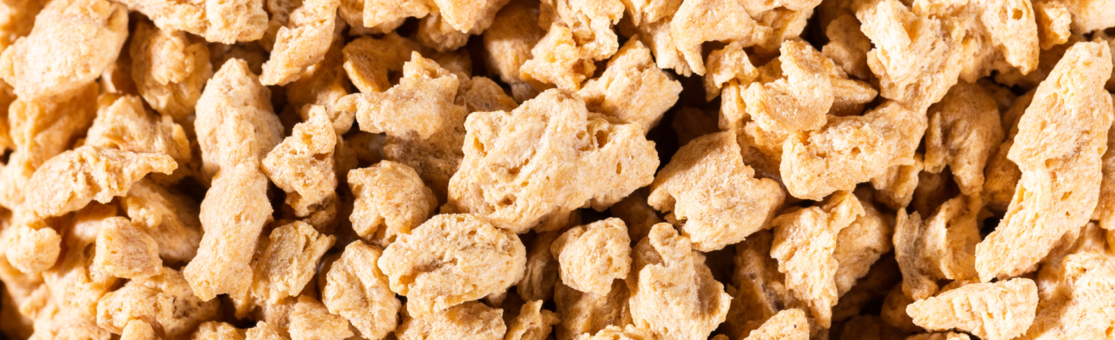 Vegetable protein extrusion: design your production lines